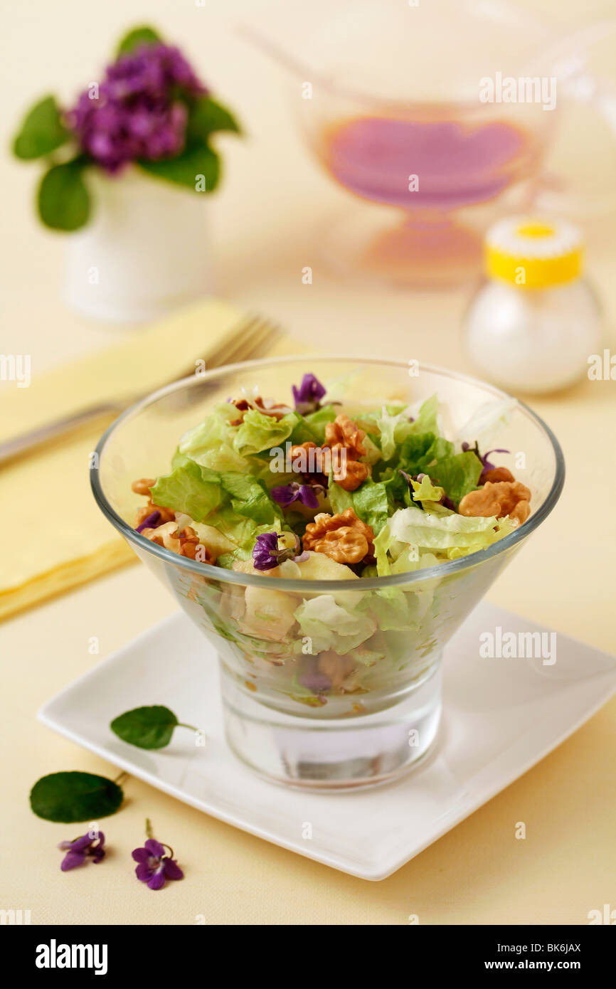 Violet vinaigrette salad. Step by step: PEGCH0-PEGCJ3-PEGCKC-PEGCM2 ...