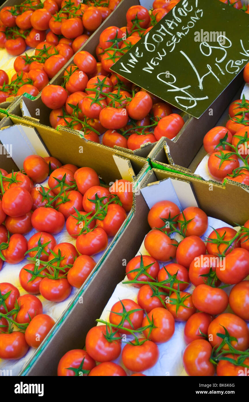 tomatoes tomato on sale in supermarket supermarket fruit and vegetables ...