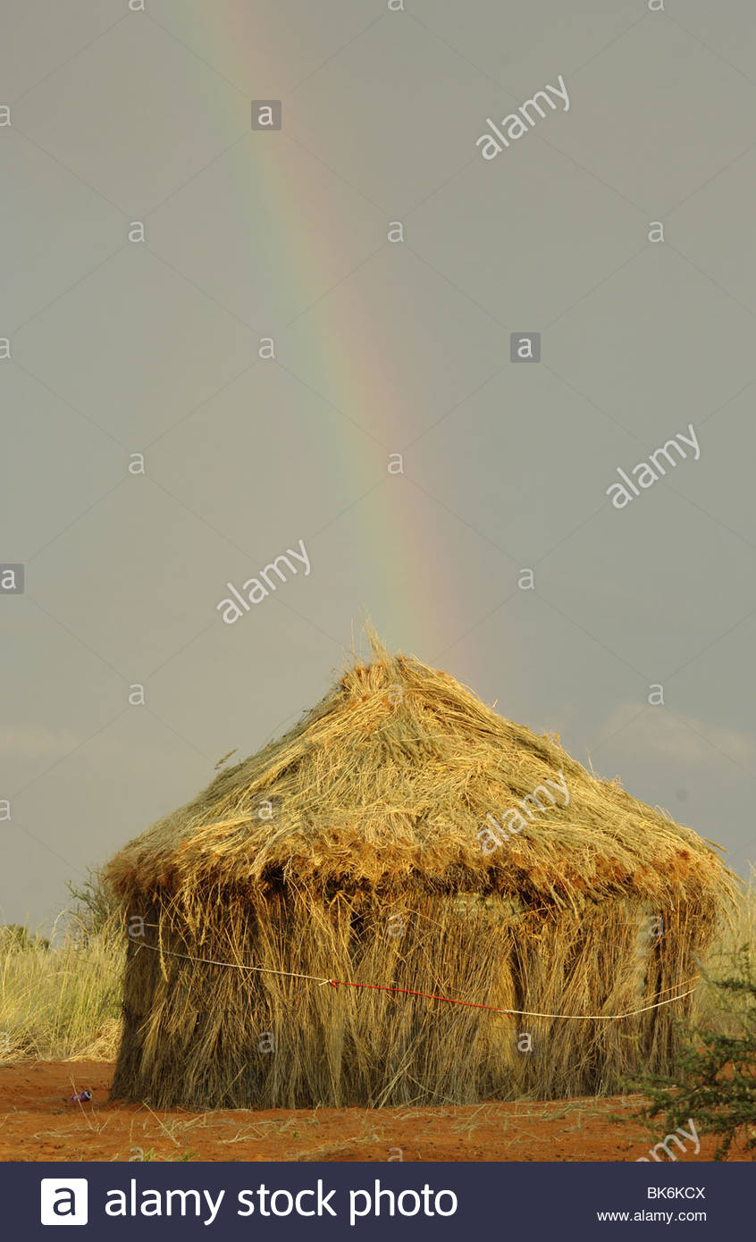 Bushman Hut Huts Bushmen San Stock Photos & Bushman Hut Huts Bushmen ...