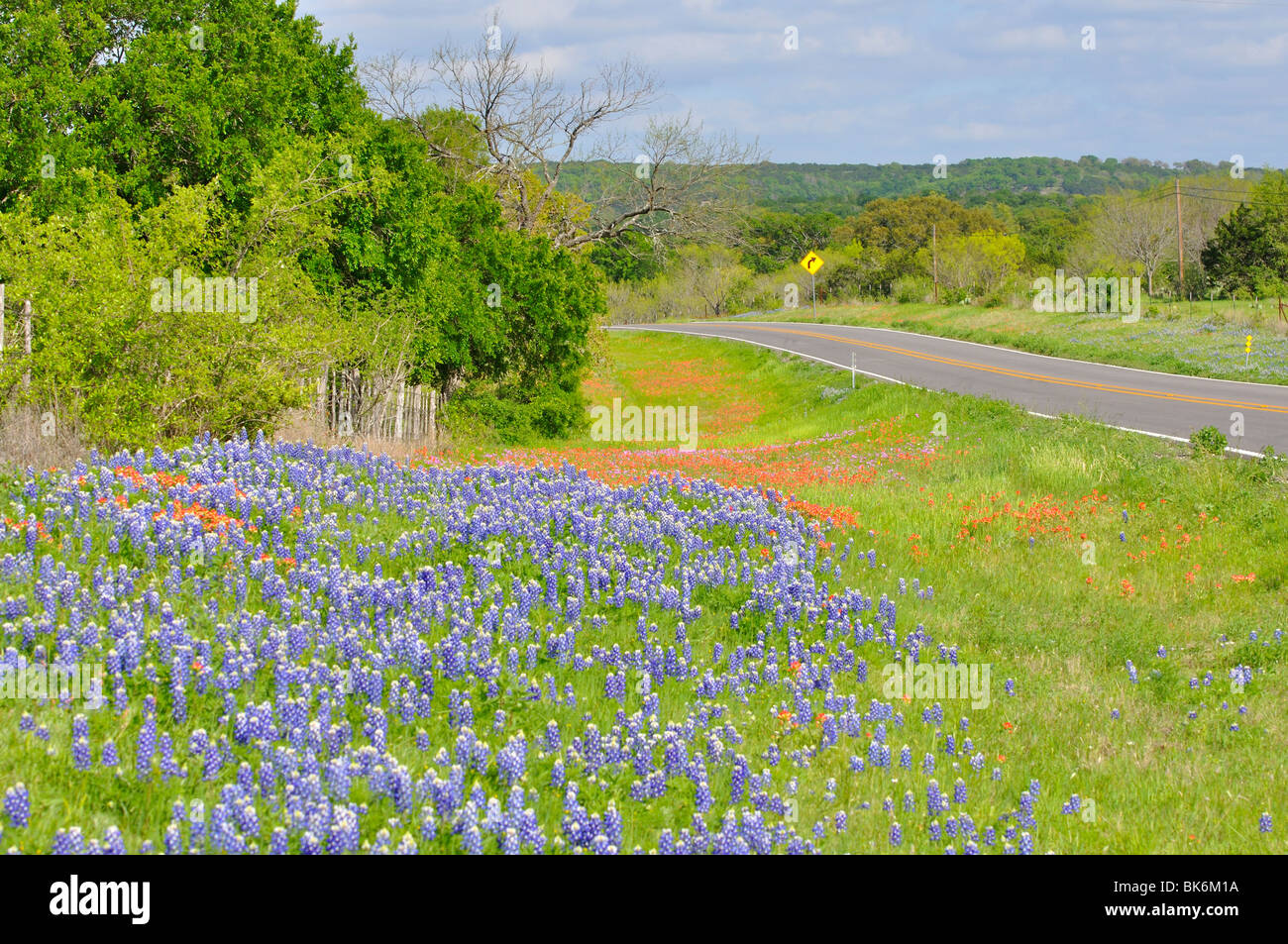 Scenic road and bluebonnets, Texas, USA Stock Photo - Alamy
