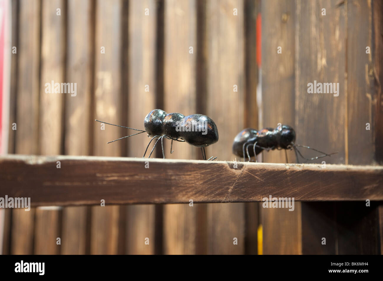 Giant ants hi-res stock photography and images - Alamy
