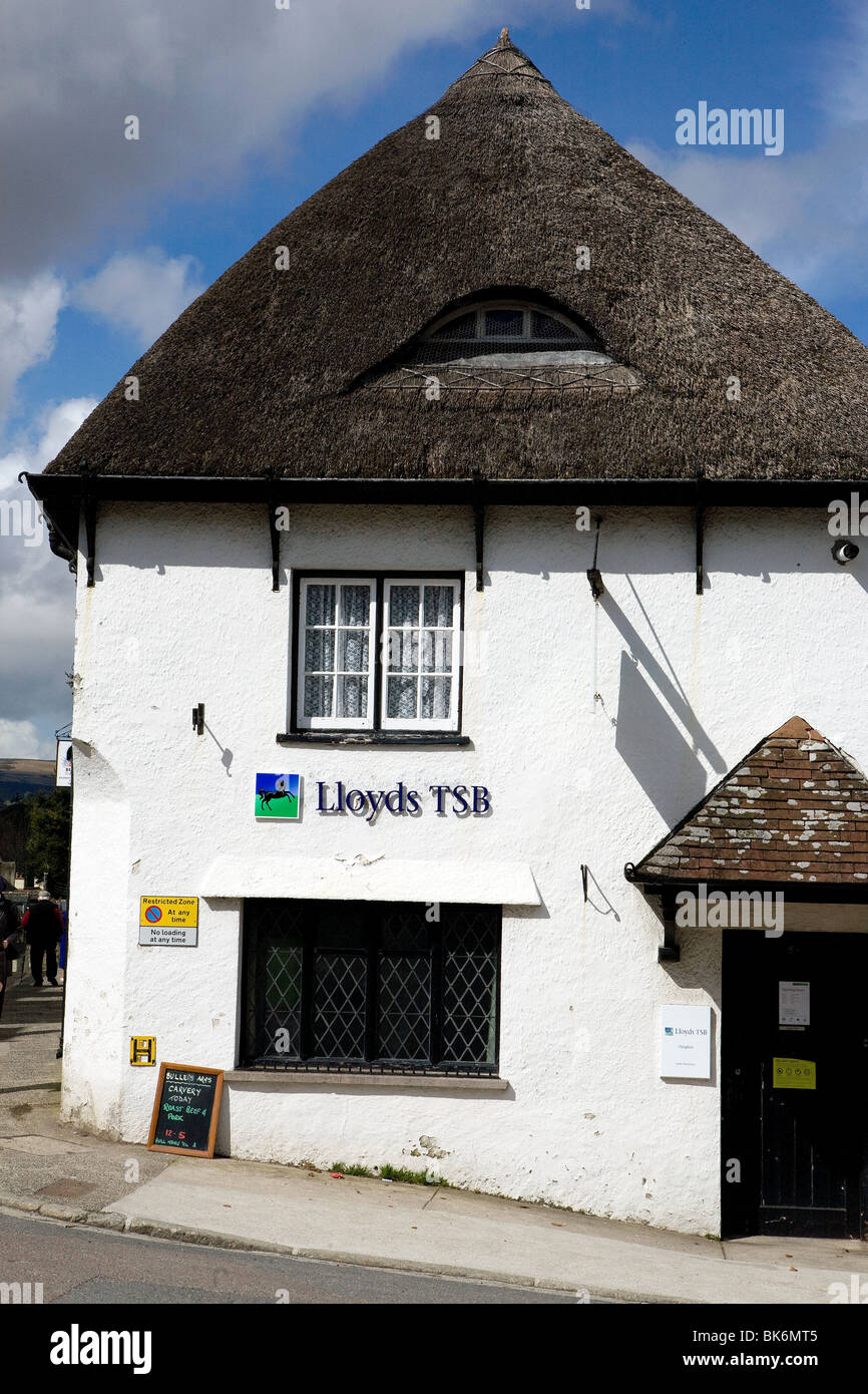 Devon bank hi-res stock photography and images - Alamy