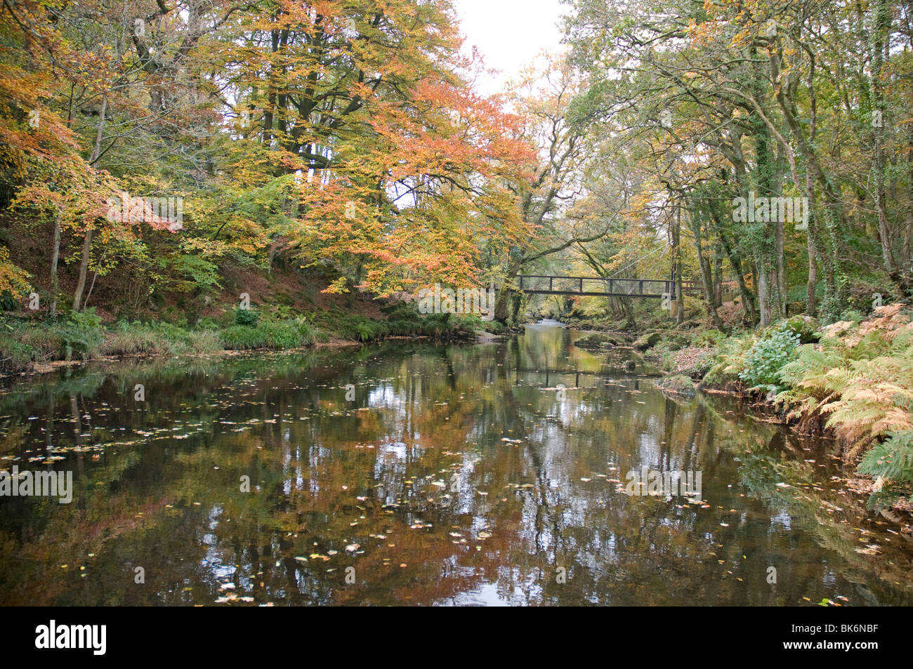 The upper river teign hi-res stock photography and images - Alamy