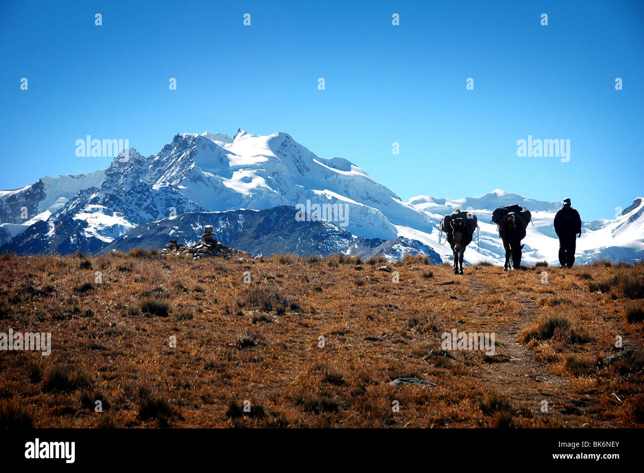 Cordillera real bolivia hi-res stock photography and images - Alamy