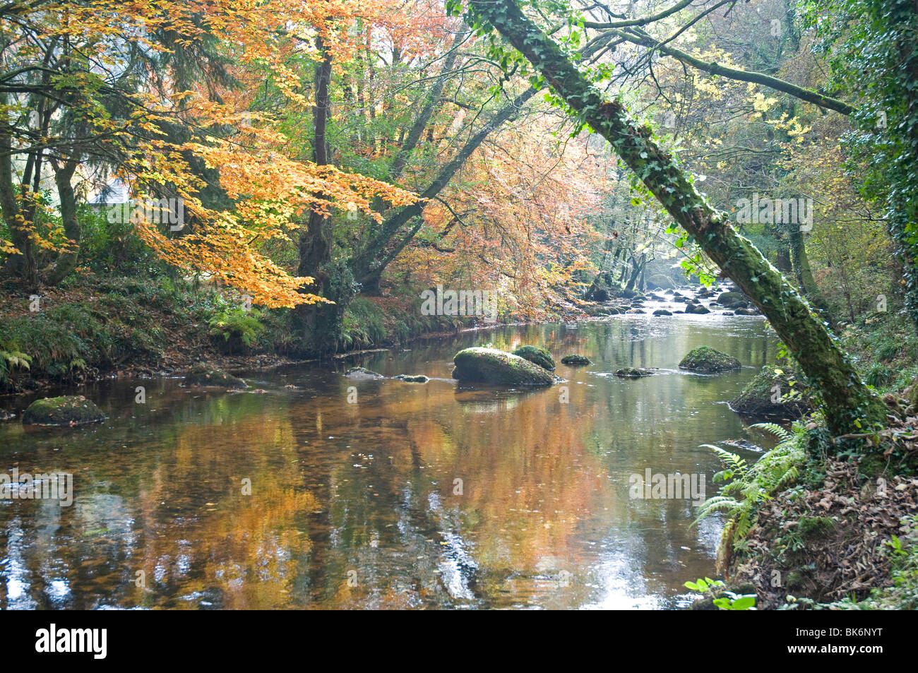 The upper river teign hi-res stock photography and images - Alamy