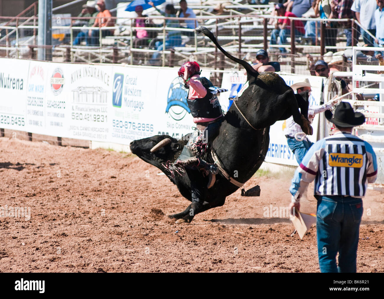 a cowboy competes in the bull riding event during the O'Odham Tash all ...