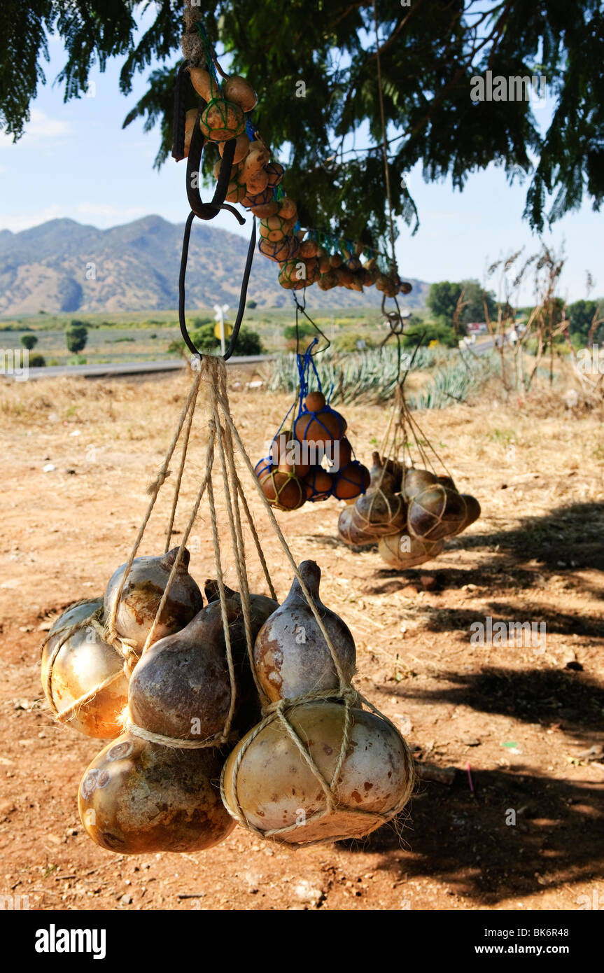 Calabash gourds hi-res stock photography and images - Alamy