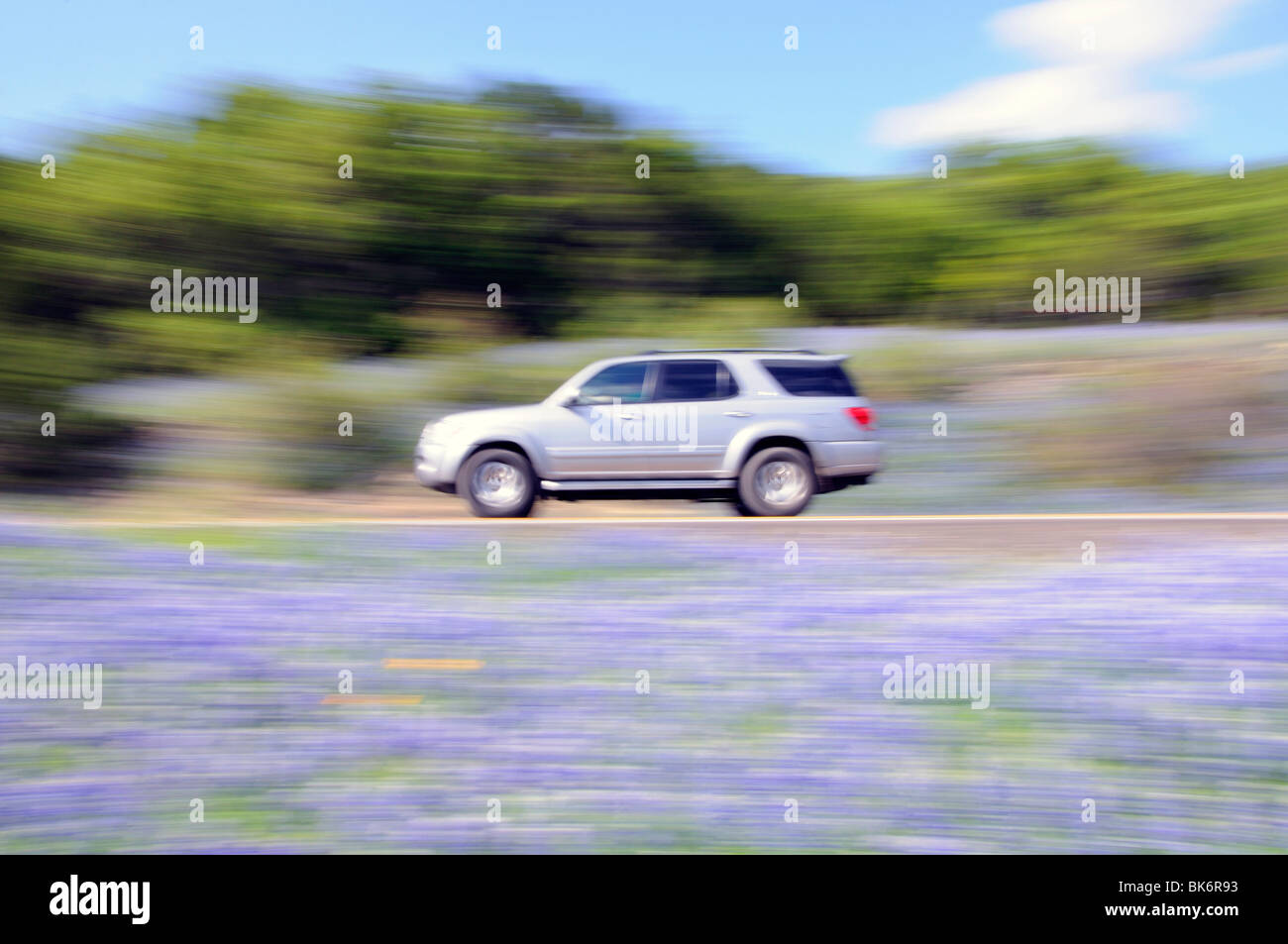 Vehicle driving past field of flowers Stock Photo - Alamy
