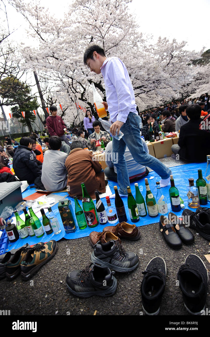 Ueno park cherry blossom party hi-res stock photography and images - Alamy