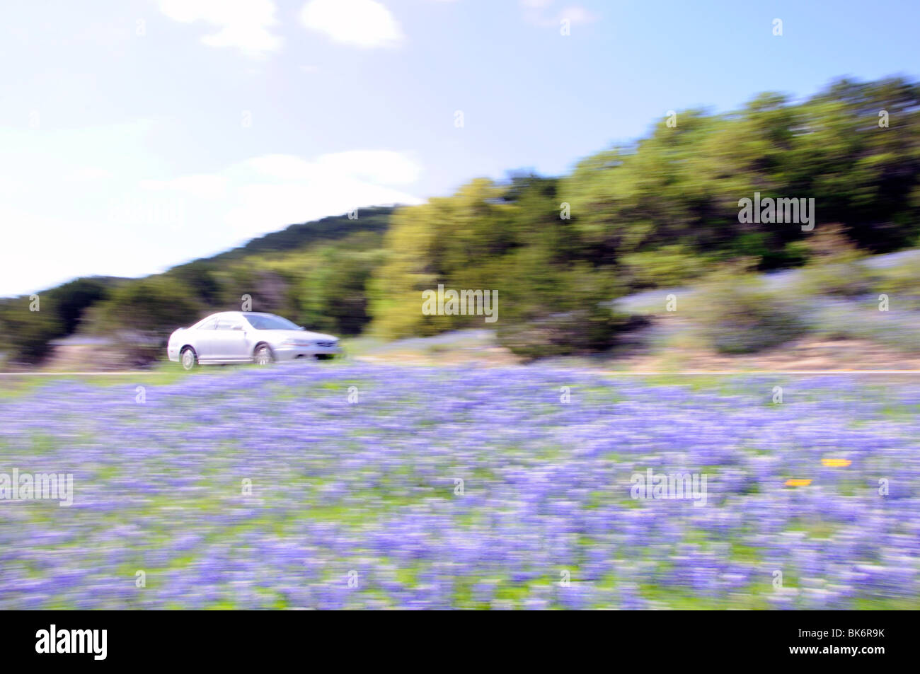 Vehicle driving past field of flowers Stock Photo - Alamy