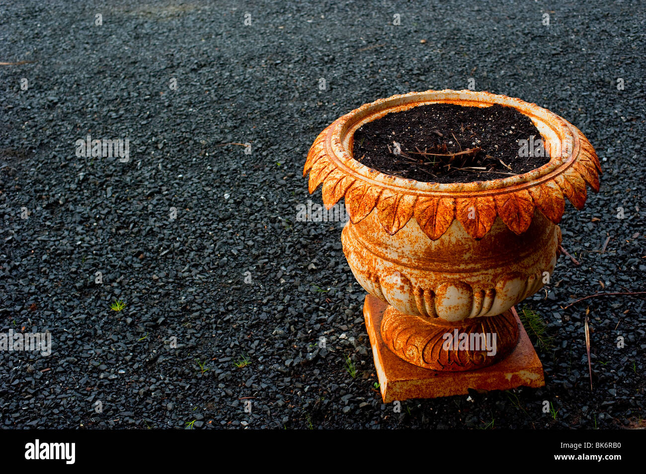 Orange rust red flower hi-res stock photography and images - Alamy