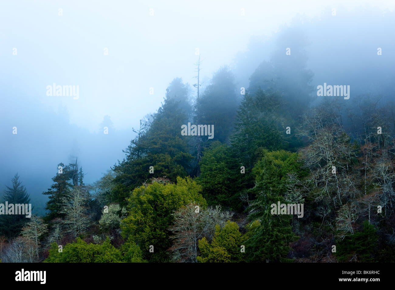 Oregon horizontal hanging hi-res stock photography and images - Alamy