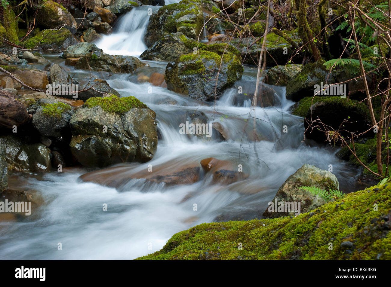 Small river with waterfalls flowing through the forest Stock Photo - Alamy