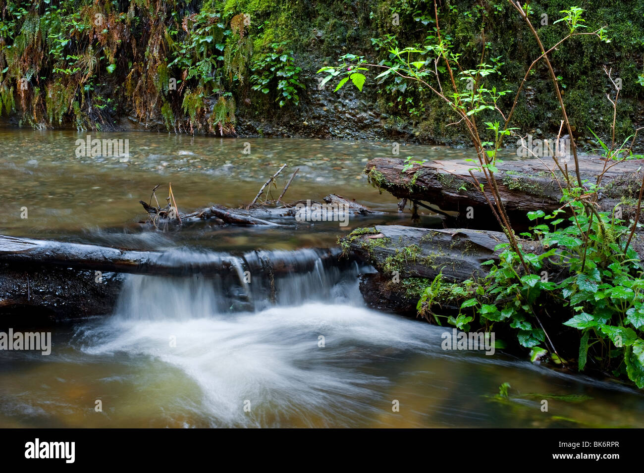 Small river with waterfalls flowing through the forest Stock Photo - Alamy