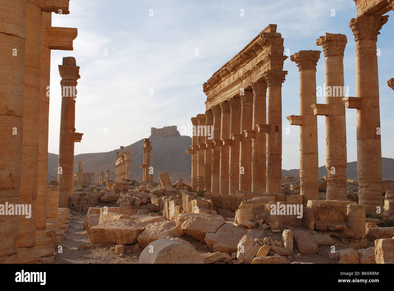 Palmyra archeological site hi-res stock photography and images - Alamy