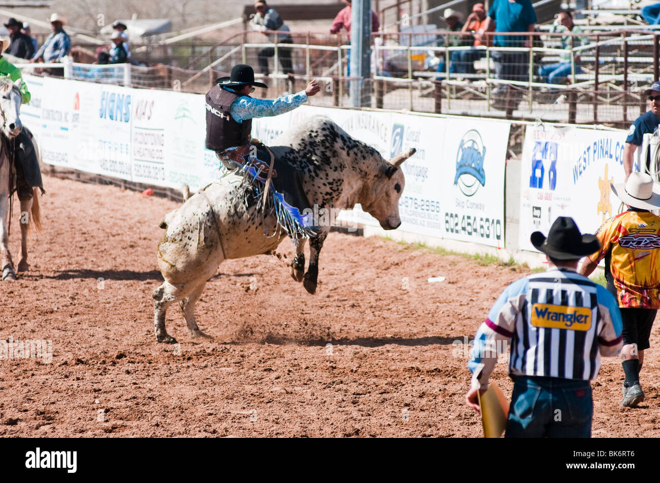 a cowboy competes in the bull riding event during the O'Odham Tash all ...