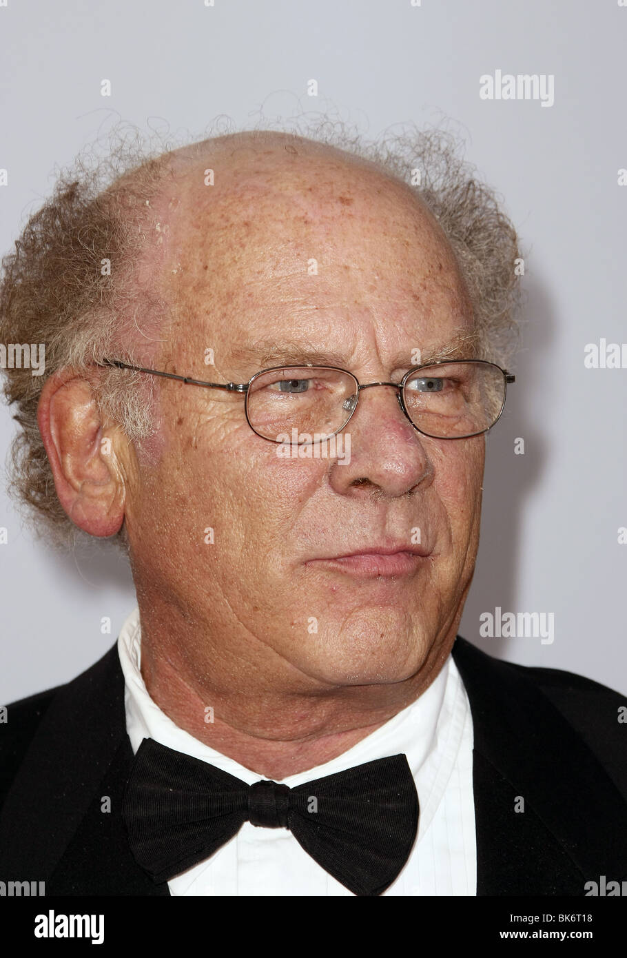 Art Garfunkel Hair