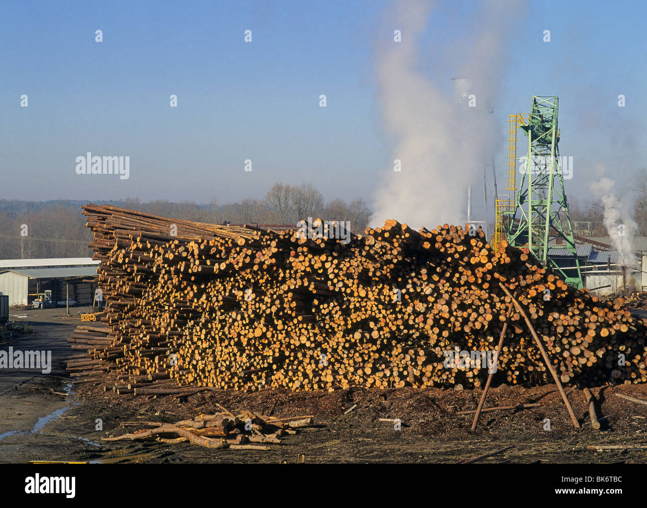 A lumber mill processes stacks of pine logs in the Ouachita Mountains ...