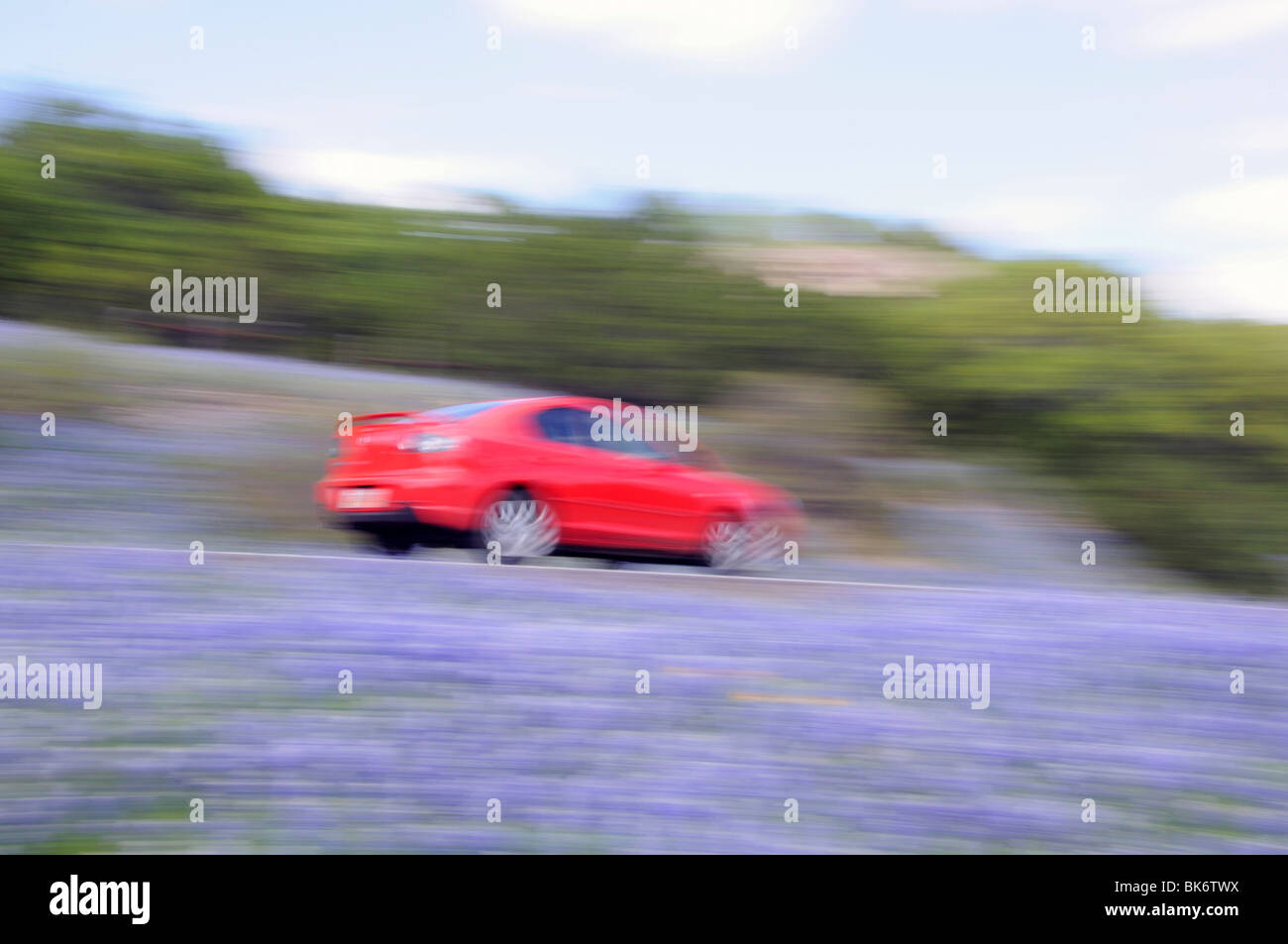 Vehicle driving past field of flowers Stock Photo - Alamy