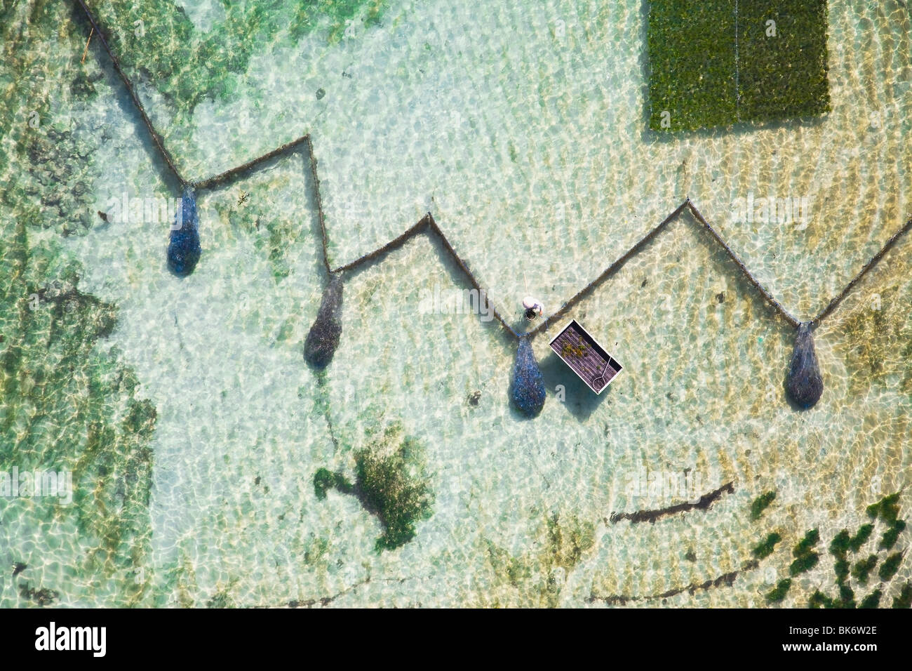 Seaweed farm aerial hi-res stock photography and images - Alamy