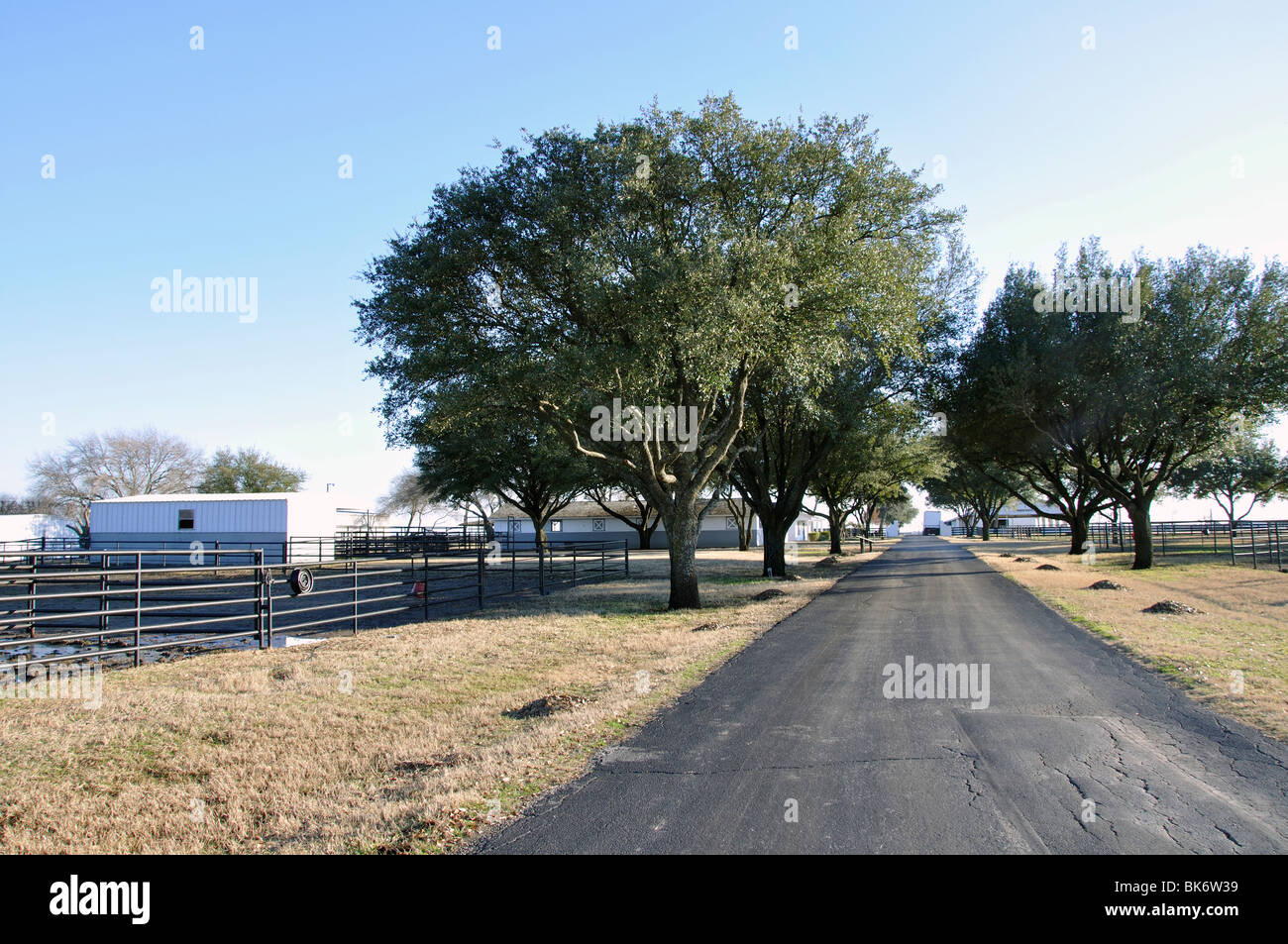 Dallas tv series hi-res stock photography and images - Alamy