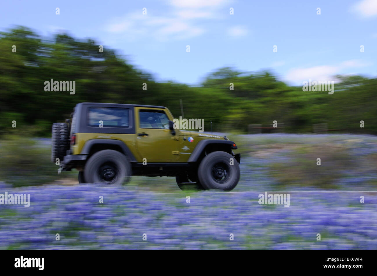Vehicle driving past field of flowers Stock Photo - Alamy