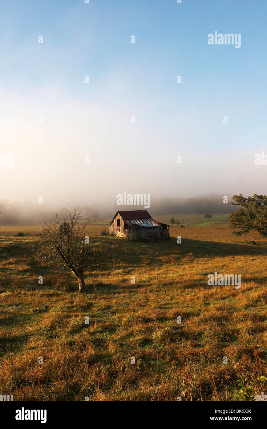 Morning on a farm in Tennessee Stock Photo - Alamy