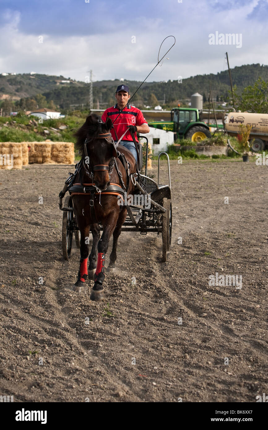 Horse cart, Spain Stock Photo - Alamy