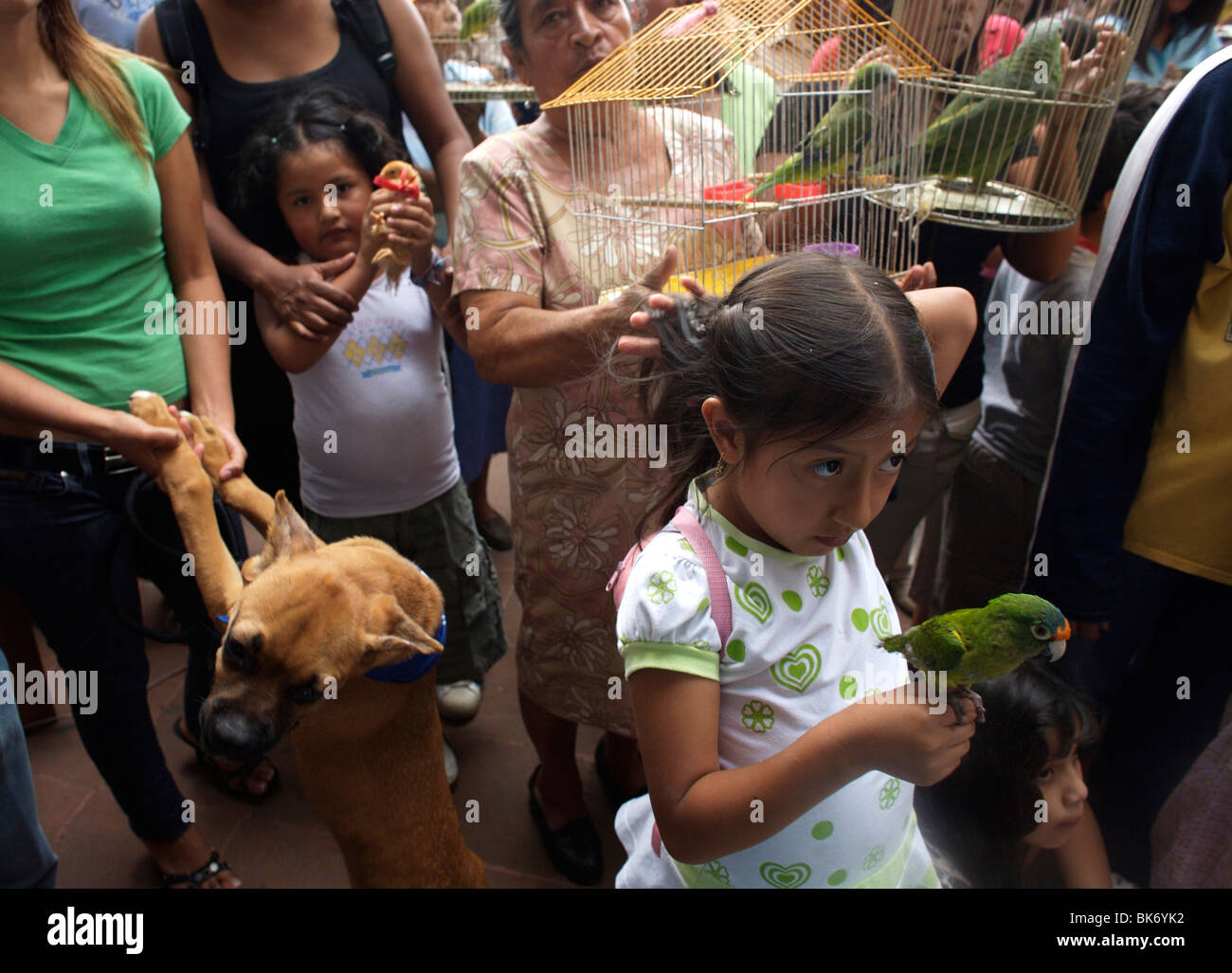 People hold their pets as they attend the Blessing of the Animals ...