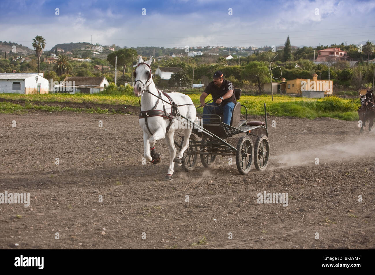 Horse cart, Spain Stock Photo - Alamy