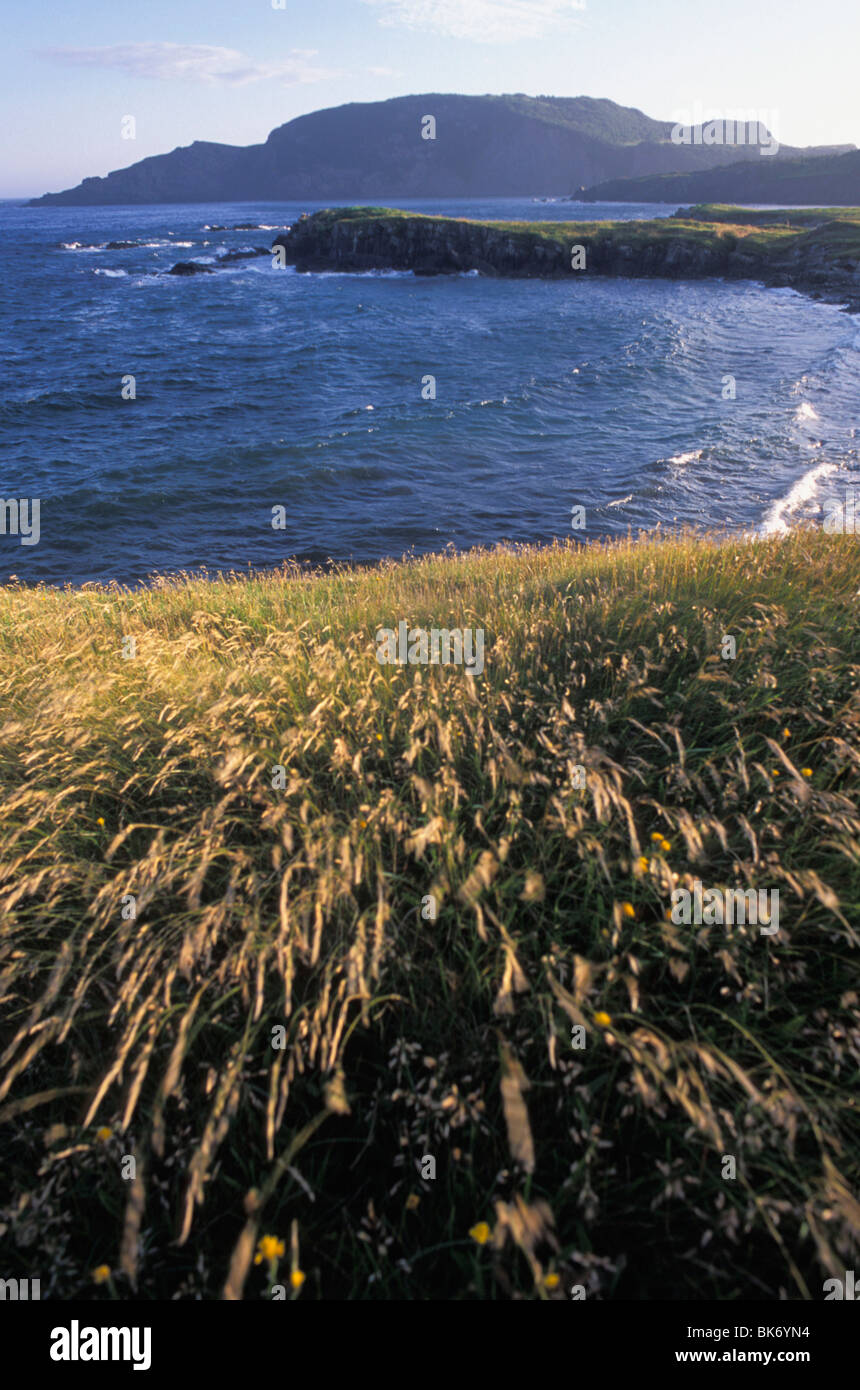 Trinity Bay, Champney's West, Newfoundland, Canada Stock Photo - Alamy