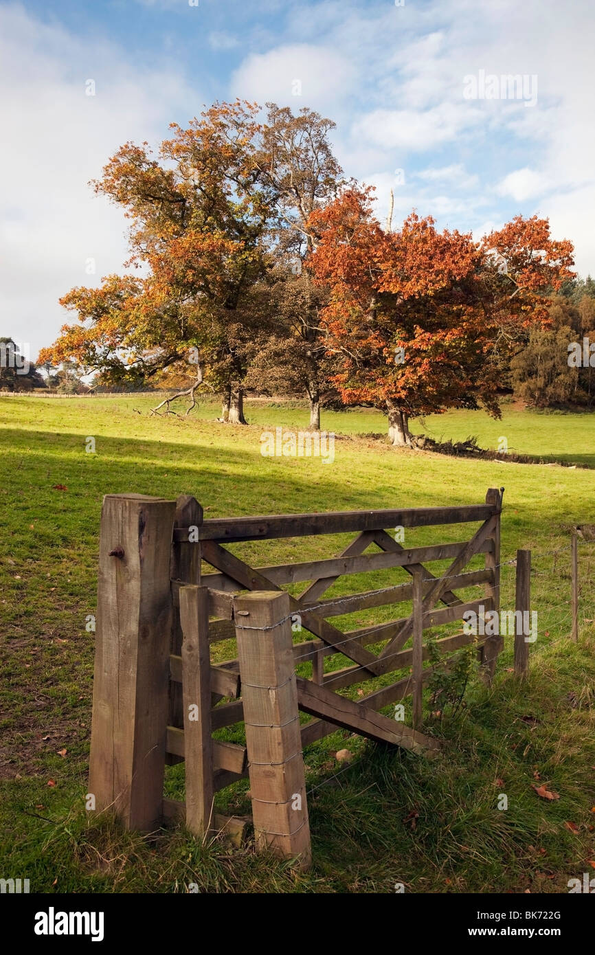 Fence, Northumberland, England Stock Photo - Alamy