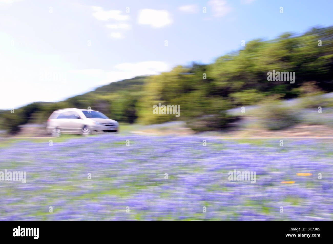 Vehicle driving past field of flowers Stock Photo - Alamy