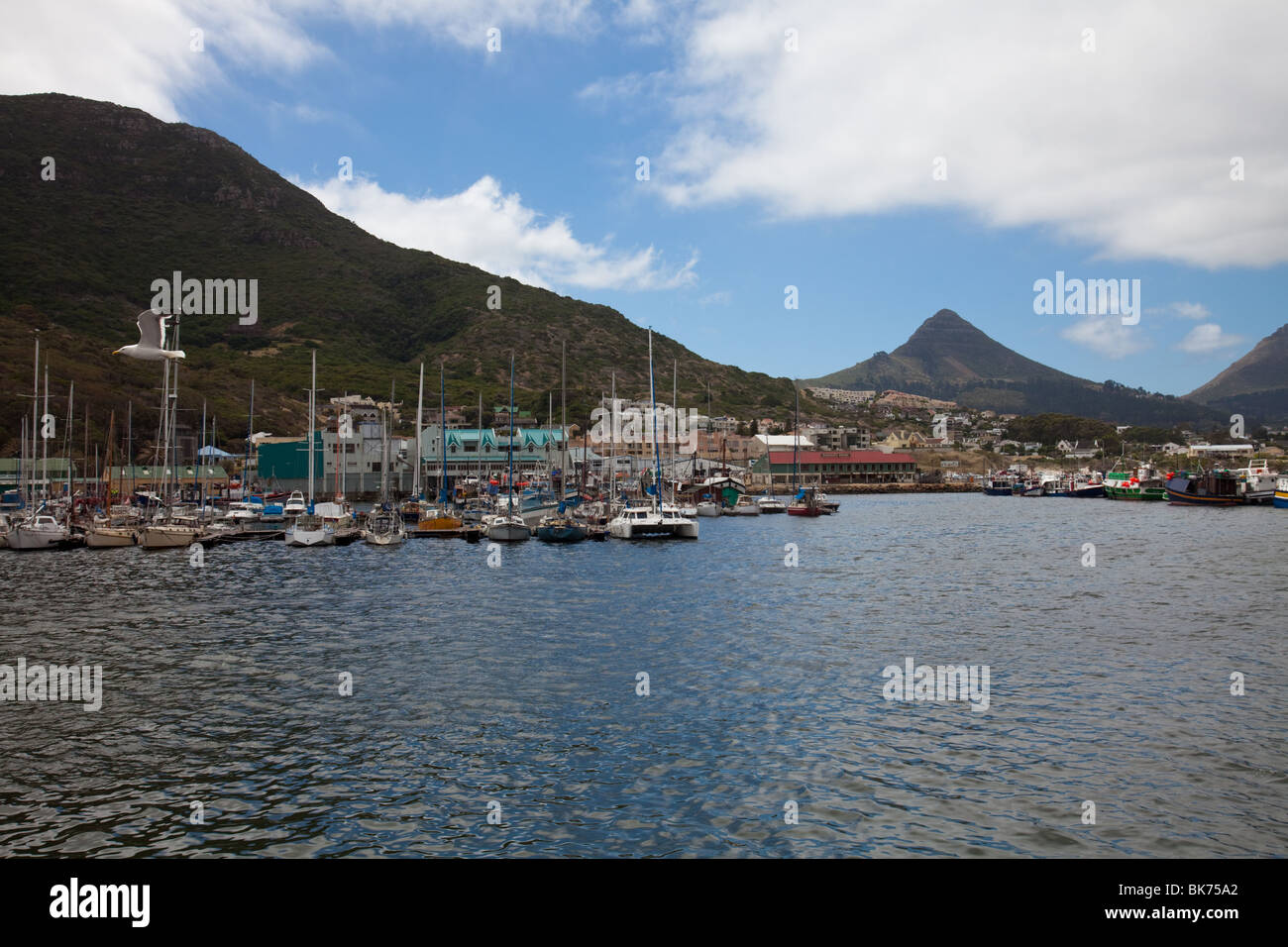 Port basin hi-res stock photography and images - Alamy