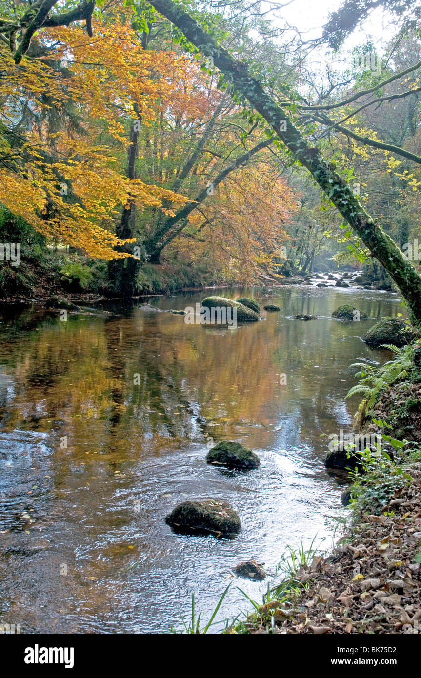 The upper river teign hi-res stock photography and images - Alamy