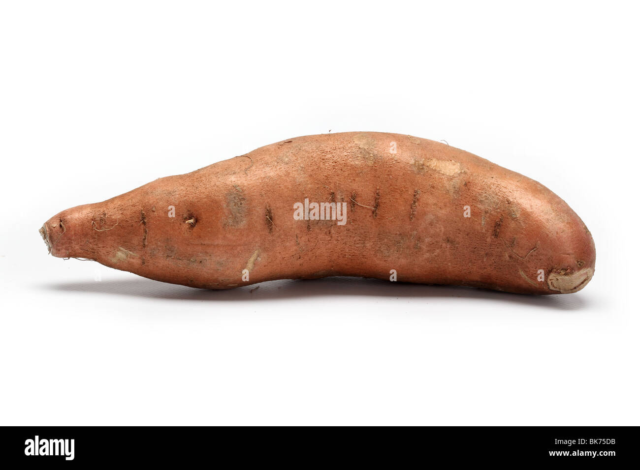 Sweet Potato vegetable food eatable kitchen cook cooking diet healthy ...