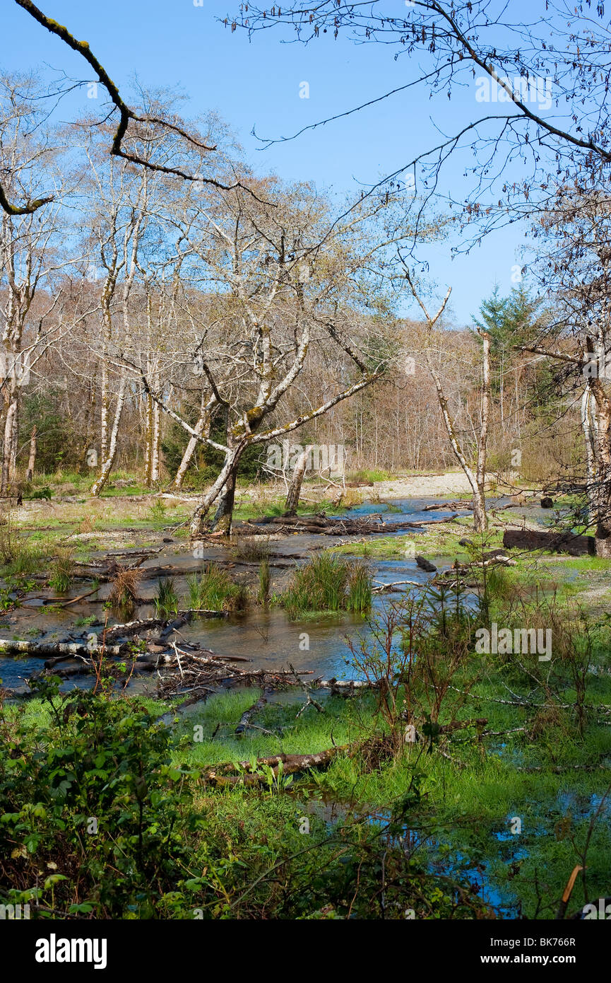 Small stream running through field hi-res stock photography and images ...