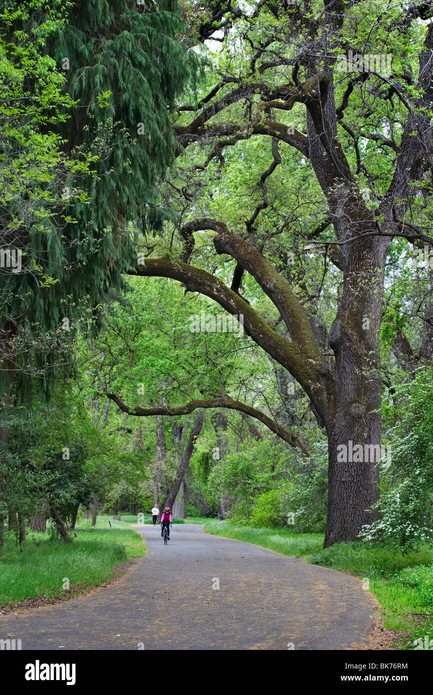 Chico ca hi-res stock photography and images - Alamy