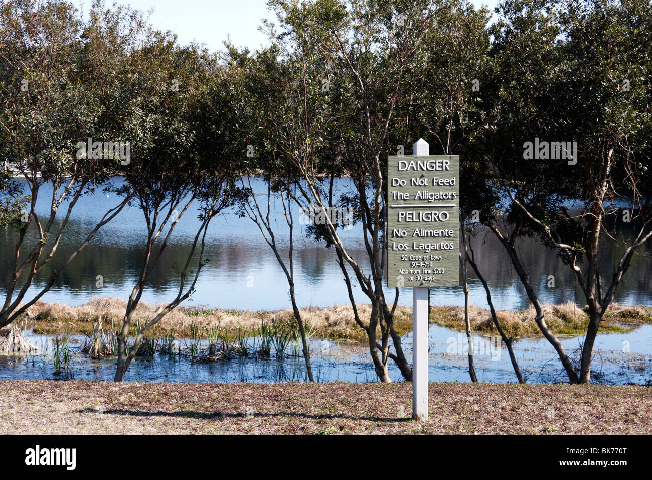 Alligator sign, South Carolina, USA Stock Photo - Alamy