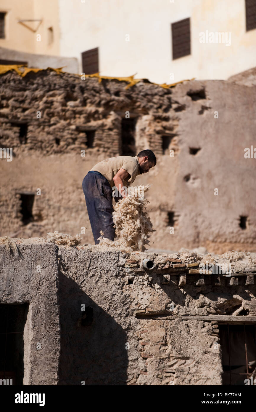 Wool tannery hi-res stock photography and images - Alamy