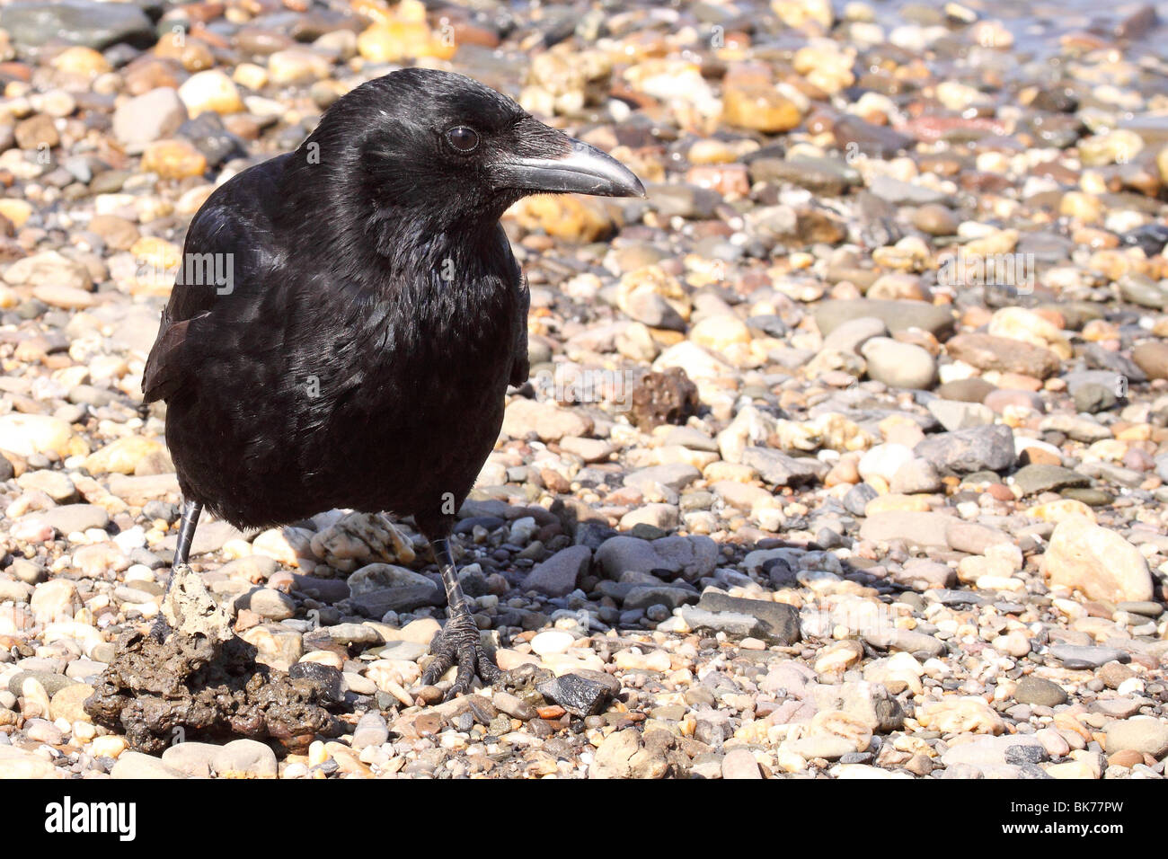 The crow stones hi-res stock photography and images - Alamy