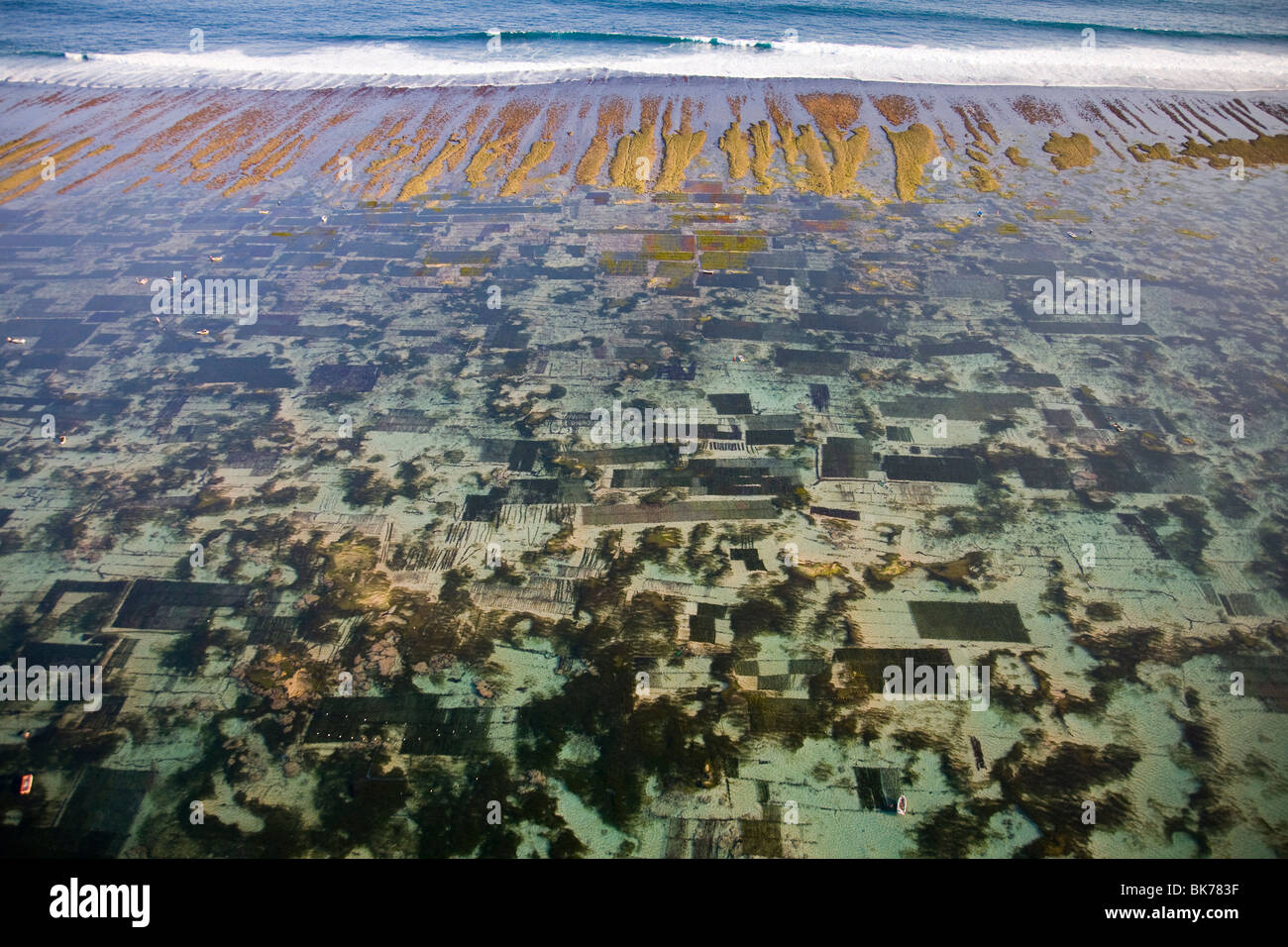 Seaweed farm aerial hi-res stock photography and images - Alamy