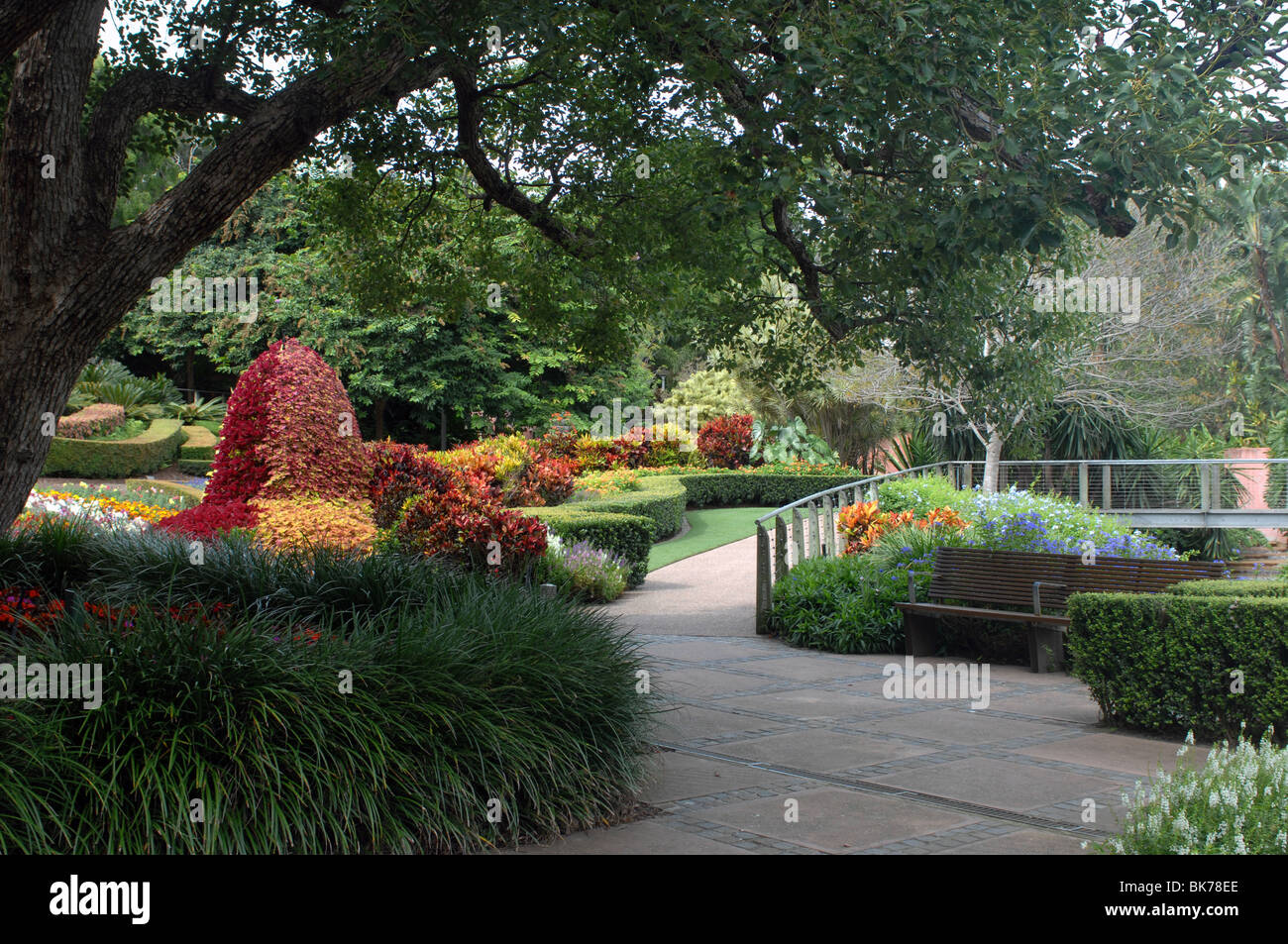 Roma Street Parkland, Brisbane, Queensland, Australia Stock Photo - Alamy
