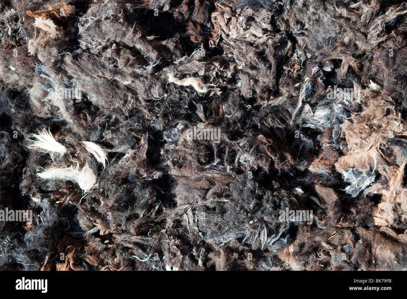 Black wool hi-res stock photography and images - Alamy