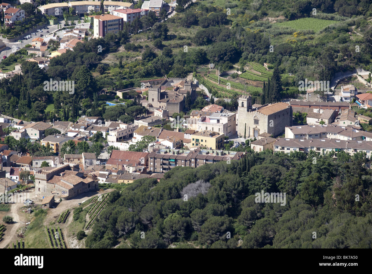 Teia hi-res stock photography and images - Alamy