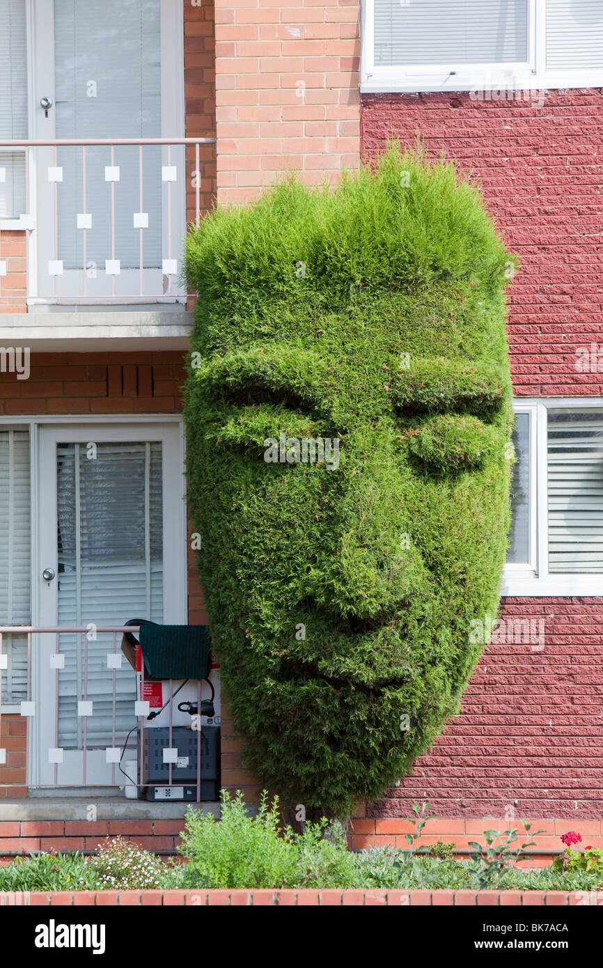Topiary trees outside a block of flats in Hawthorn, Melbourne, Victoria ...