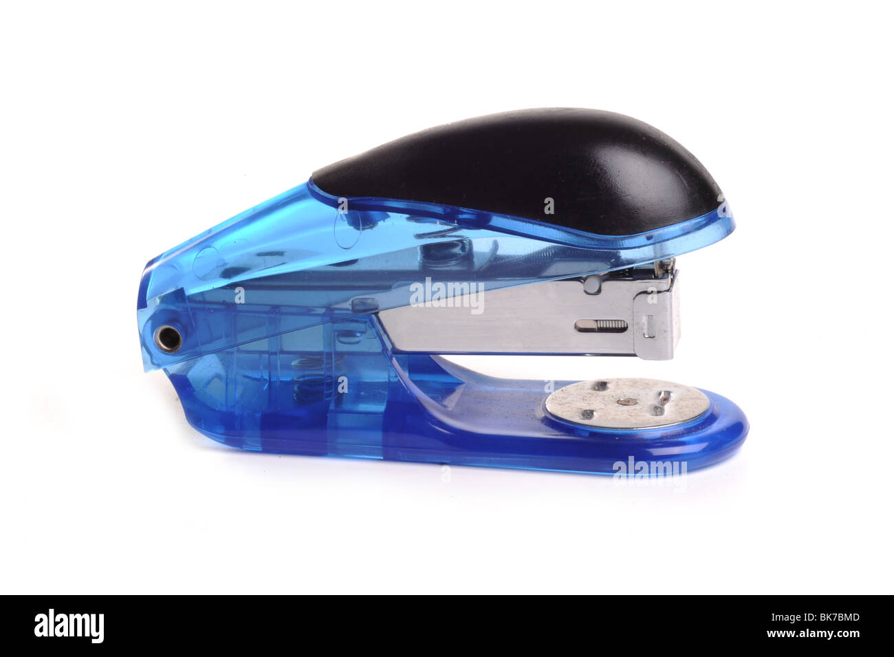 Blue stapler on white background Stock Photo - Alamy