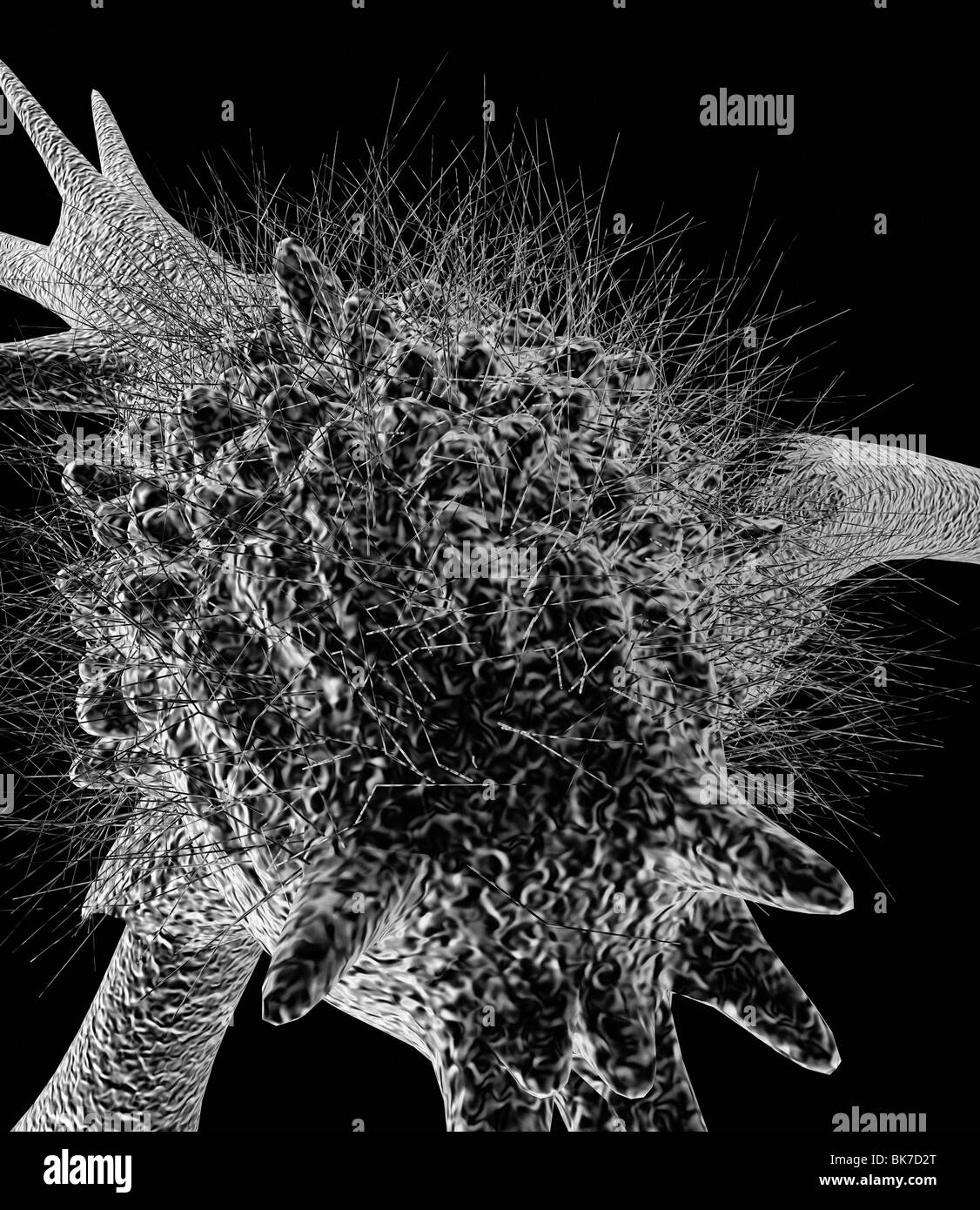 Illustrations cell Black and White Stock Photos & Images - Alamy