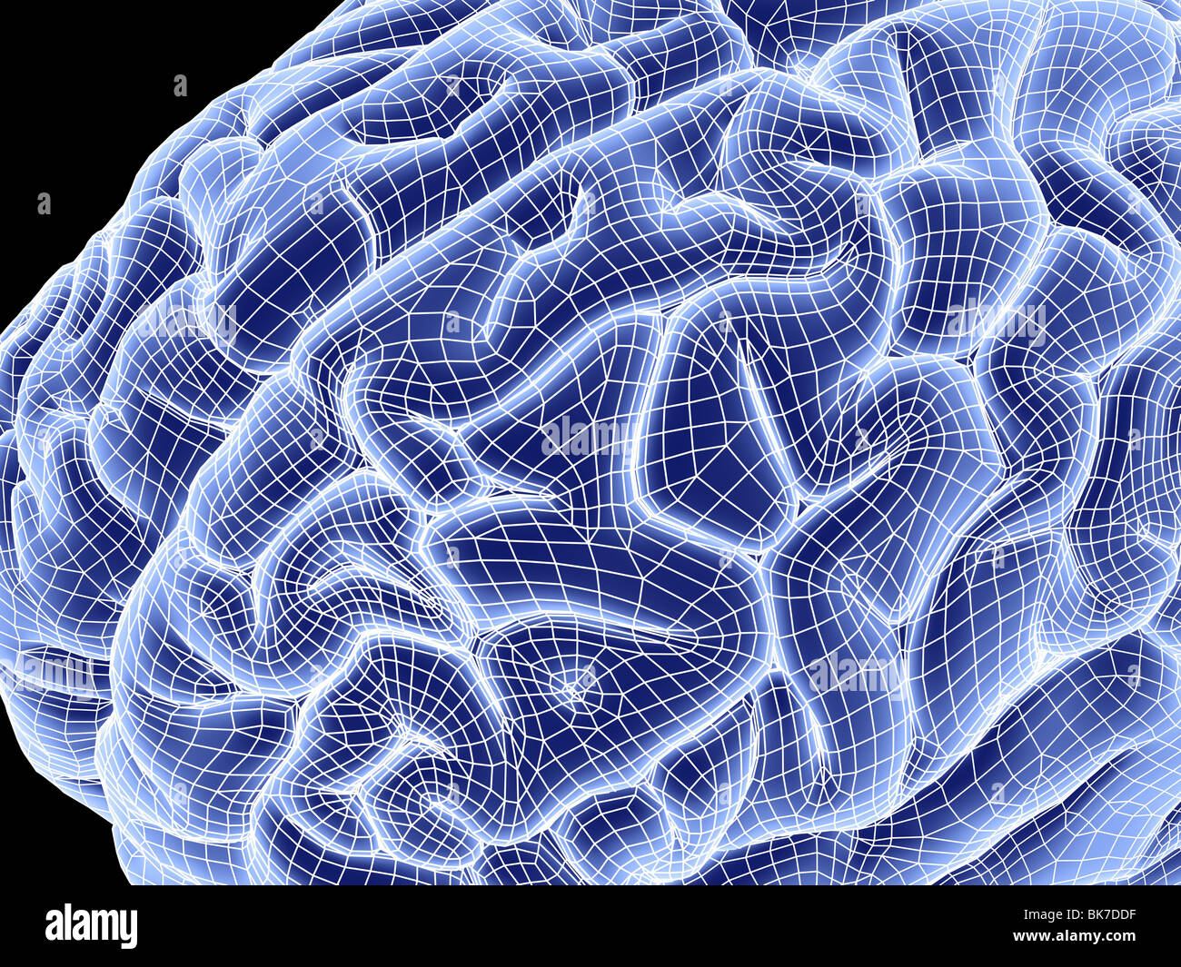 Human brain, computer artwork Stock Photo - Alamy