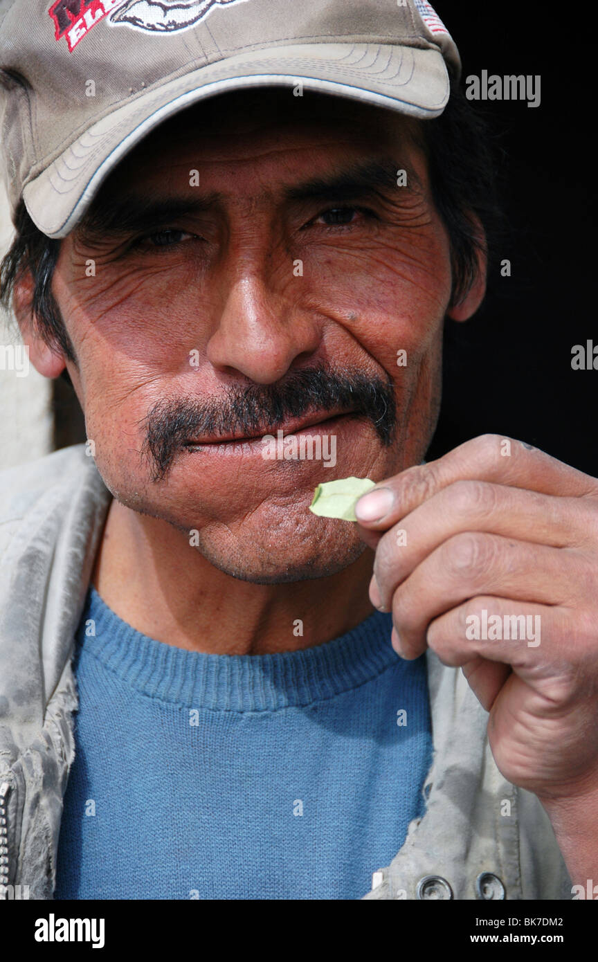 Coca leaf chewing hi-res stock photography and images - Alamy